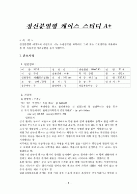 정신분열병 케이스 스터디 기능 수행, 간호 진단-1페이지