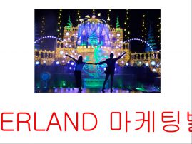 EVERLAND 에버랜드 성공비결과 에버랜드 마케팅 SWOT,STP,4P전략분석및 에버랜드 문제점과 해결방안연구 PPT-1페이지