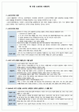 제 11장 스포츠와 사회조직-1페이지