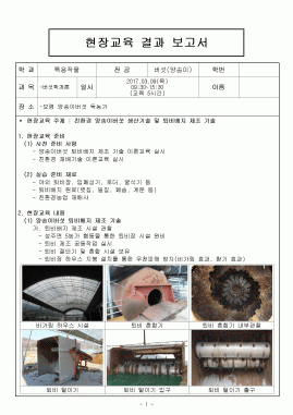 현장견학 보고서-친환경 양송이버섯 생산기술 및 퇴비배지 제조 기술-1페이지