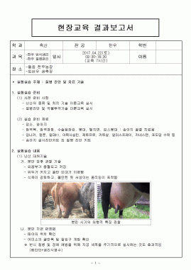 현장견학 보고서 - 한우 질병 진단 및 치료 기술-1페이지