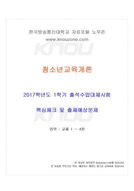 2017년 1학기 청소년교육개론 출석대체시험 핵심체크-1페이지