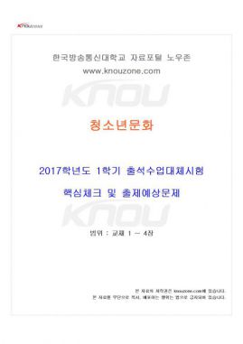 2017년 1학기 청소년문화 출석대체시험 핵심체크-1페이지