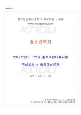 2017년 1학기 청소년복지 출석대체시험 핵심체크-1페이지