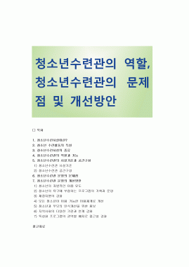 [청소년수련관] 청소년수련관의 역할,  청소년수련관의 문제점 및 개선방안-1페이지