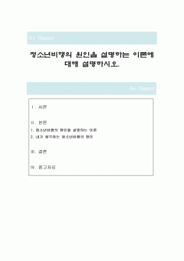 청소년비행의 원인을 설명하는 이론에 대해 설명하시오 - 내가 생각하는 원인-1페이지