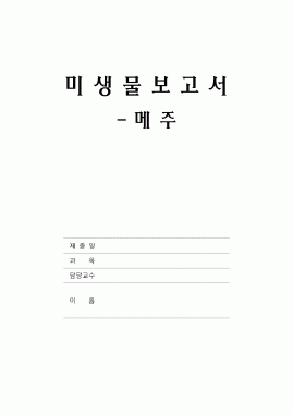 메주에 들어 있는 미생물-1페이지