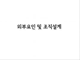 외부요인 및 조직설계-1페이지