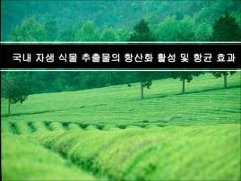 식물추출물의 항균 및 항산화효과-1페이지