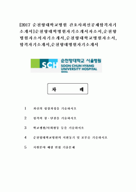 [2017 순천향대학교병원 간호사 최신공채합격자기소개서] 순천향대학병원자기소개서자소서, 순소개서, 천향병원자소서자기순천향대학교병원자소서, 합격자기소개서, 순천향대병원자기소개서-1페이지