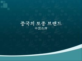 중국의 토종 브랜드-1페이지