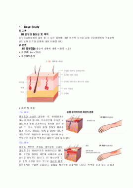 화상 case-1페이지