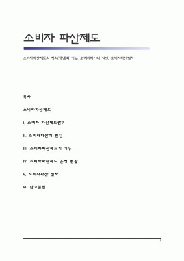 소비자파산제도의 정의(개념)와 기능, 소비자파산의 원인, 소비자파산절차-1페이지