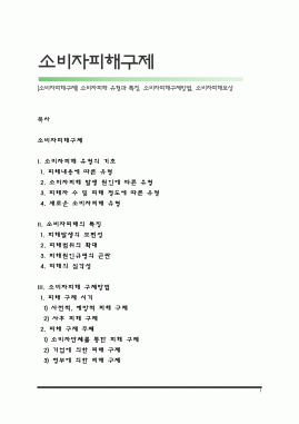 [소비자피해구제] 소비자피해 유형과 특징, 소비자피해구제방법, 소비자피해보상-1페이지