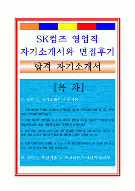 SK컴즈 자기소개서-1페이지