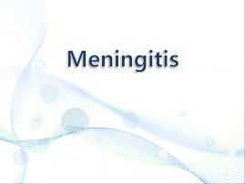 뇌수막염(Meningitis) PPT-1페이지