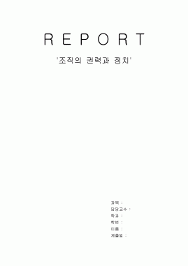 조직의 권력과 정치-1페이지