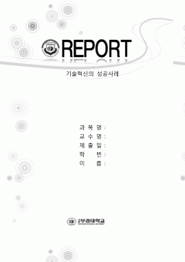 기술혁신의 사례 레포트-한국선재-1페이지