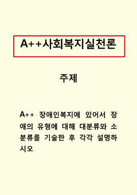 사회복지실천론]장애인복지에 있어서 장애의 유형에 대해 대분류와 소분류를 기술한 후 각각 설명하시오-1페이지