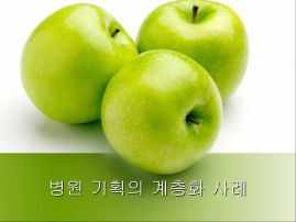 병원 기획의 계층화 사례-1페이지