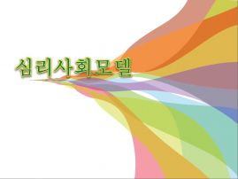 심리사회모델 [개요, 주요 전제 가치, 이론적 배경, 실천 과정, 활용, 평가, 사례 연구]-1페이지