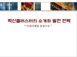 혁신클러스터의 소개와 발전 전략 - 국내사례를 중심으로-1페이지