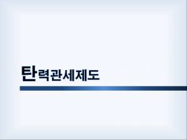 탄력관세제도-1페이지