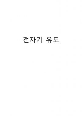 [연세대] 일반물리실험 결과보고서A 전자기 유도-1페이지