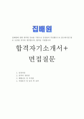 집배원자소서 집배원자기소개서 합격자소서/면접+자기소개서 우체국집배원자기소개서, 우정사업본부집배원공무원 자소서,우체부자소서.재택집배원자기소개서,집배원지원동기,재택집배원,상시집배원자소-1페이지