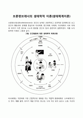 [사회과학] 브론펜브레너의 생태학적 이론(생태체계이론)-1페이지