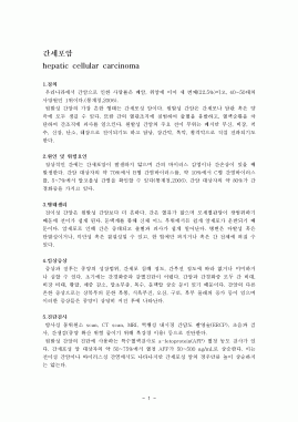 간세포암 문헌고찰 및 case study-1페이지