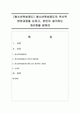 [청소년육성제도] 청소년육성제도의 역사적 변천과정을 논하고,  본인이 생각하는 개선점을 밝혀라 [청소년육성]-1페이지