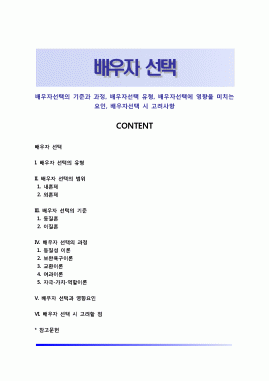 배우자선택의 기준과 과정, 배우자선택 유형, 배우자선택에 영향을 미치는 요인, 배우자선택 시 고려사항-1페이지