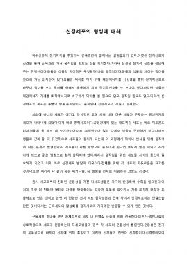 신경세포의 형성에 대해-1페이지