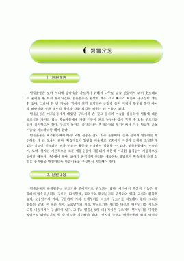 [체육 교수 지도안] 뜀틀운동-1페이지