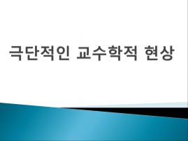 극단적인 교수학적 현상-1페이지