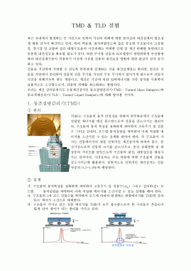 중앙대 진동계측실험  TMD,TLD 예비레포트-1페이지