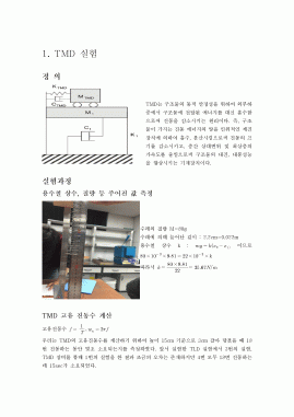 중앙대 진동계측실험  TMD,TLD 결과레포트-1페이지