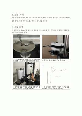 중앙대 진동계측실험  1자유도계 결과레포트-1페이지