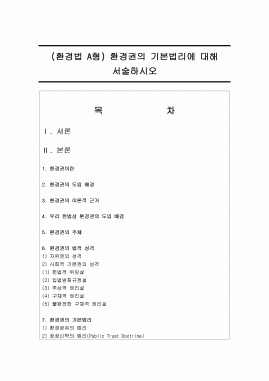 (환경법 A형) 환경권의 기본법리에 대해 서술하시오  (환경권 기본법리)-1페이지