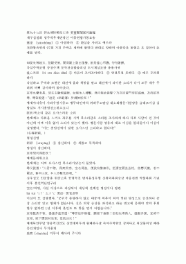 채동번의 중국서한역사소설 전한통속연의 97회 98회 99회 72페이지 한문 원문 및 한글번역-1페이지