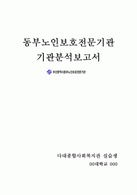 (A+레포트, 기관분석지) 동부노인보호전문기관 기관분석-1페이지