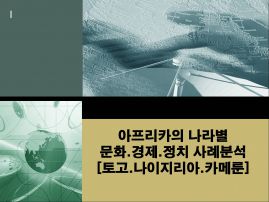 아프리카의 나라별 문화.경제.정치 사례분석 [토고.나이지리아.카메룬]-1페이지