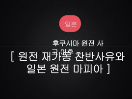 후쿠시마 원전 사고 이후 - [원전 재가동 찬반사유와 일본 원전 마피아]-1페이지