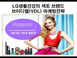 LG생활건강의 색조 브랜드 브이디엘(VDL) 마케팅전략-1페이지