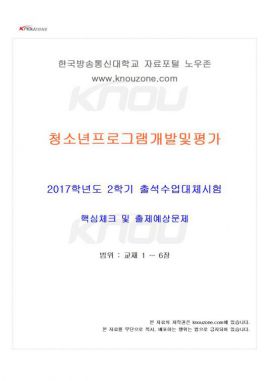 2017년 2학기 청소년프로그램개발및평가 출석대체시험 핵심체크-1페이지