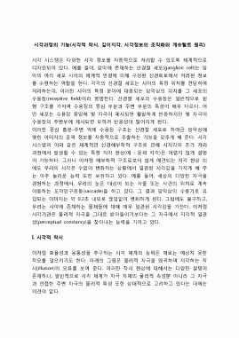 시각과정의 기능(시각적 착시, 깊이지각, 시각정보의 조직화와 게슈탈트 원리)-1페이지