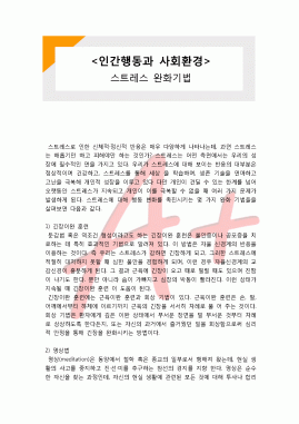  (A+ 레포트,시험대비) [인간행동과 사회환경] 스트레스와 완화기법-1페이지