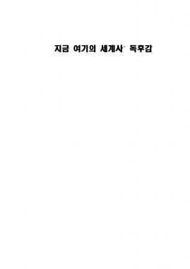 독후감 - 지금 여기의 세계사-1페이지