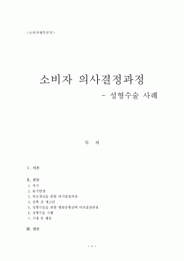 소비자 의사결정 과정 - 성형수술 사례-1페이지